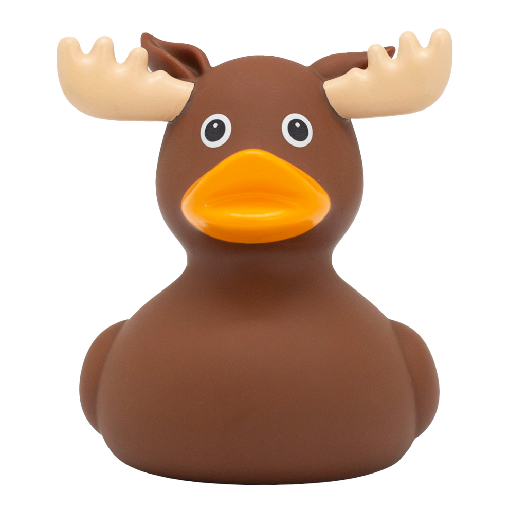 Moose Duck – Sunnyside Ducks